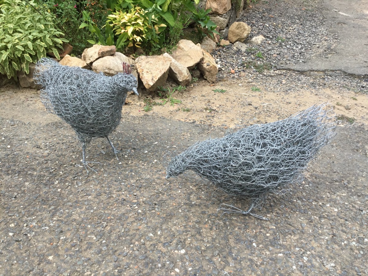 Chicken wire Chicken sculpture 12th August – Le Jardin Creatif